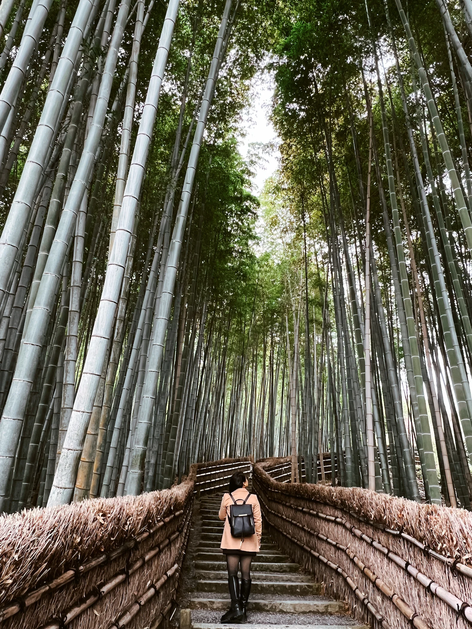 Visit This Secret Bamboo Forest in Kyoto (Instead of Arashiyama)